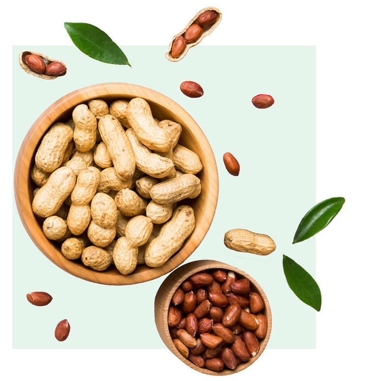 Hampton Farms | The Leading Roaster of In-Shell Peanuts