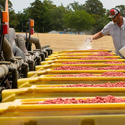 Our Story | Hampton Farms